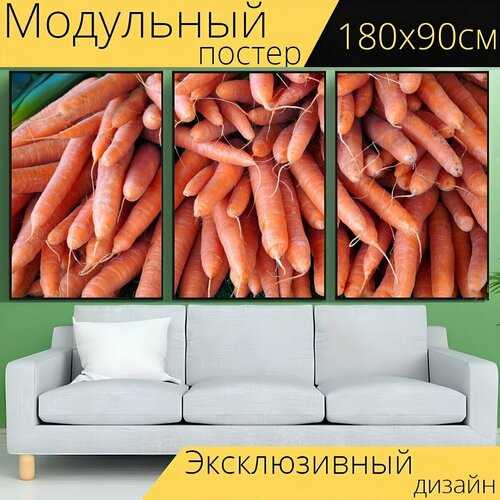 Модульный постер "Морковь, овощи, еда" 180 x 90 см. для интерьера