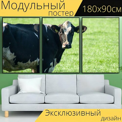 Модульный постер "Корова, крупный рогатый скот, ферма" 180 x 90 см. для интерьера