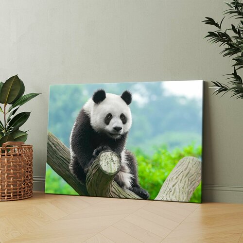 Картина на холсте (Панда сидит на ветке дерева) 40x60 см. Интерьерная, на стену.