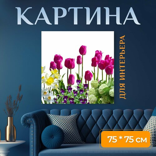 Картина на холсте "Весна, нарциссы, тюльпаны" на подрамнике 75х75 см. для интерьера