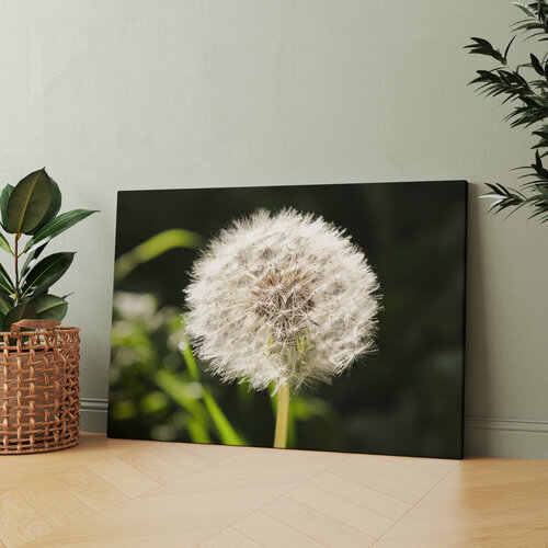 Картина на холсте (Одуванчик, цветы, трава, зелень, природа) 30 40 см/для интерьера/на стену/в комнату/в подарок/в кабинет