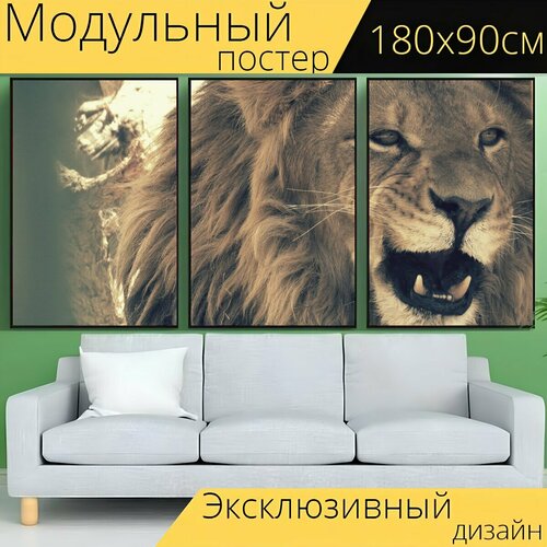 Модульный постер "Лев, кошачий, дикие" 180 x 90 см. для интерьера
