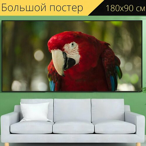 Большой постер "Ара, попугай, красочный" 180 x 90 см. для интерьера