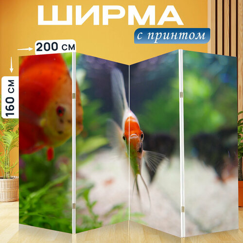 Ширма перегородка с принтом "Рыбы, орнаментальный, аквариум" на холсте - 200x160 см. для зонирования, раскладная