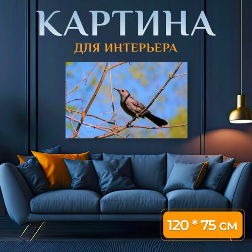 Картина на холсте "Птица, кошка, серый" на подрамнике 120х75 см. для интерьера