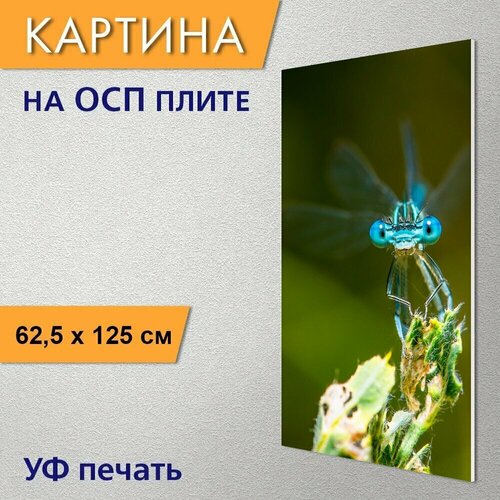 Вертикальная картина на ОСП "Стрекоза, макрос, насекомое" 62x125 см. для интерьериа