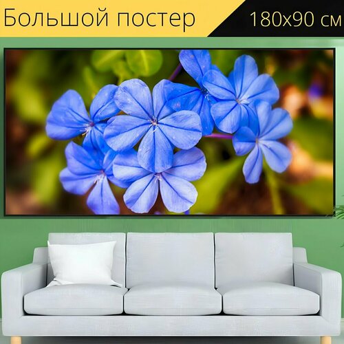 Большой постер "Жасмин синий, жасмин, синие цветы" 180 x 90 см. для интерьера
