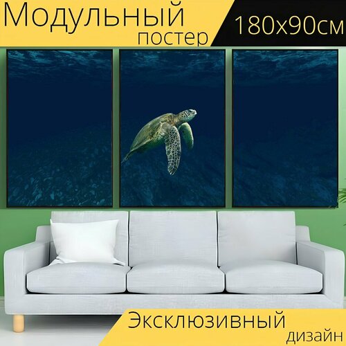 Модульный постер "Черепаха, море, подводный" 180 x 90 см. для интерьера