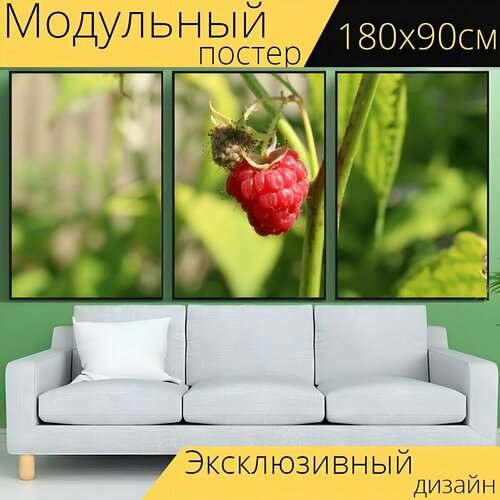Модульный постер "Еда, фрукты, сад" 180 x 90 см. для интерьера