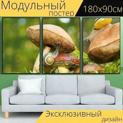 Модульный постер "Улитки, грибы, природа" 180 x 90 см. для интерьера