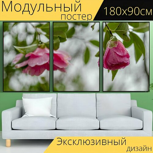 Модульный постер "Розовый, цветок, весна" 180 x 90 см. для интерьера