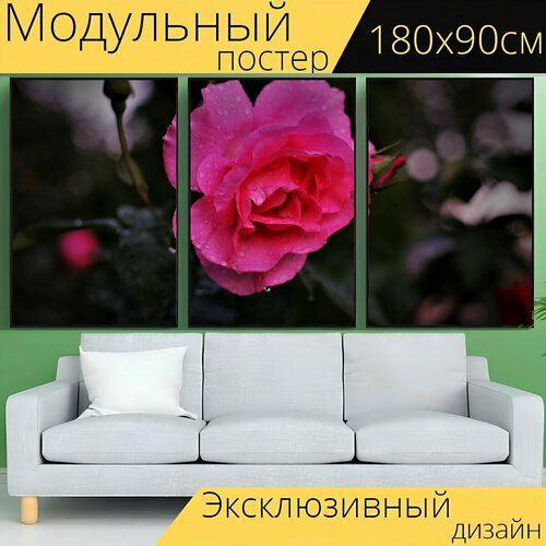 Модульный постер "Розы, сад, цвести" 180 x 90 см. для интерьера
