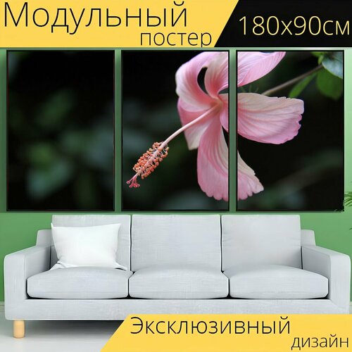 Модульный постер "Китай роуз, цветок, гибискус" 180 x 90 см. для интерьера