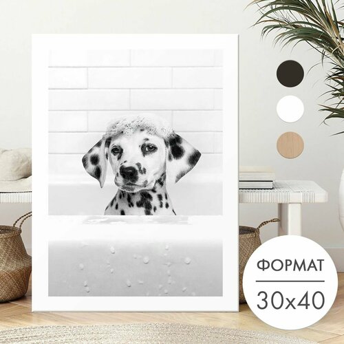 Постер 30х40 без рамки "Далматинец в ванной" для интерьера