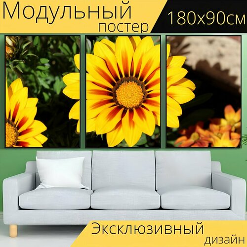 Модульный постер "Полуденный цветок, цвести, солнце" 180 x 90 см. для интерьера