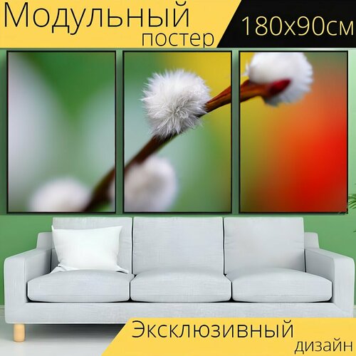 Модульный постер "Блоссом котенка, цветы, растения" 180 x 90 см. для интерьера