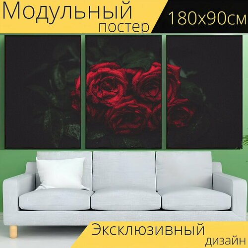 Модульный постер "Розы, цветы, роса" 180 x 90 см. для интерьера