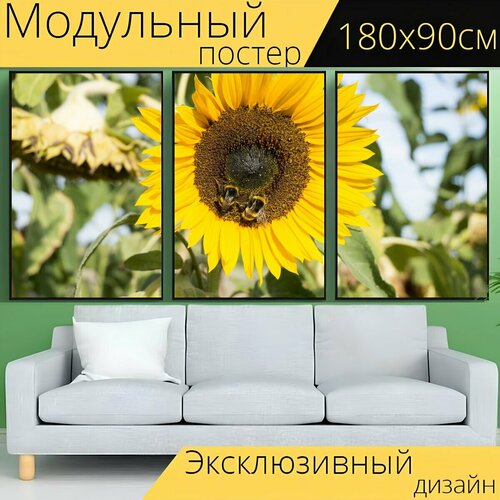 Модульный постер "Подсолнух, пчелы, желтый" 180 x 90 см. для интерьера
