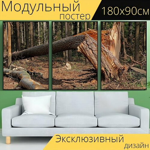 Модульный постер "Дерево, шторм, ущерба от бури" 180 x 90 см. для интерьера