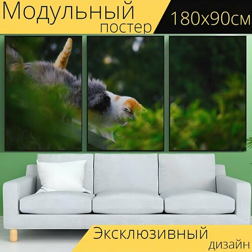 Модульный постер "Животное, кошка, котенок" 180 x 90 см. для интерьера