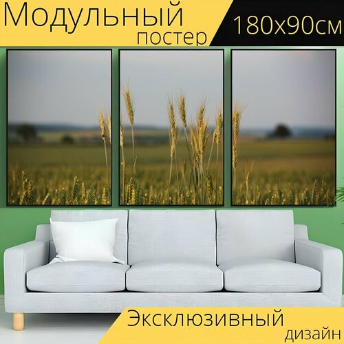 Модульный постер "Кукурузное поле, шип, зерно" 180 x 90 см. для интерьера
