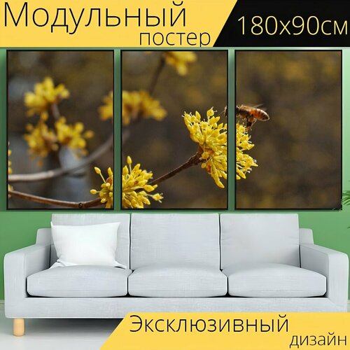 Модульный постер "Пчела, весна, весенние цветы" 180 x 90 см. для интерьера
