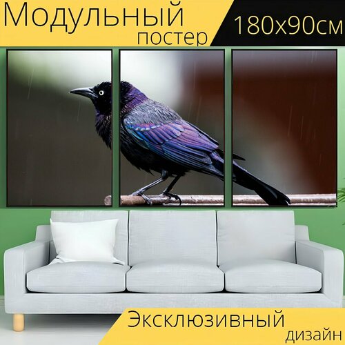 Модульный постер "Птица, хлестать, клюв перья" 180 x 90 см. для интерьера