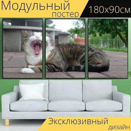 Модульный постер "Кот, зевота, похмелье" 180 x 90 см. для интерьера