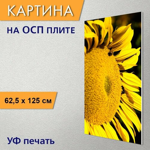 Вертикальная картина на ОСП "Подсолнечник, солнце, желтый" 62x125 см. для интерьериа