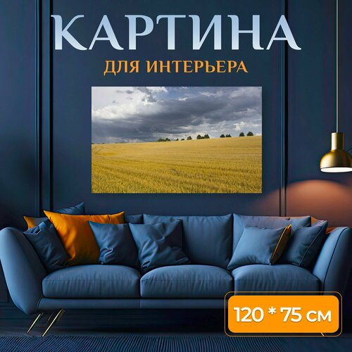 Картина на холсте "Поле, зерновой, облака" на подрамнике 120х75 см. для интерьера