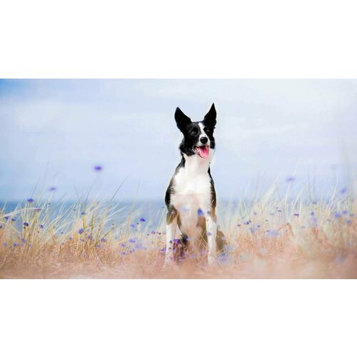 Картина на холсте 60x110 LinxOne "Собака друг взгляд" интерьерная для дома / на стену / на кухню / с подрамником
