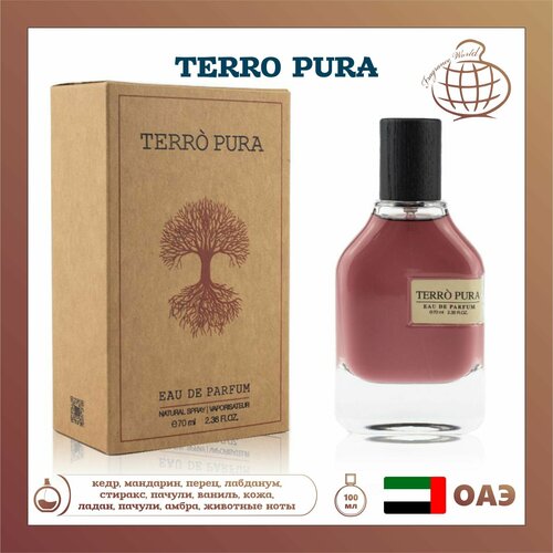 Мужской Арабский парфюм Terro Pura, Fragrance World, 70 мл