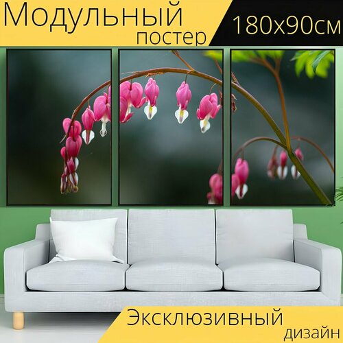 Модульный постер "Полевой цветок, розовый, весна" 180 x 90 см. для интерьера