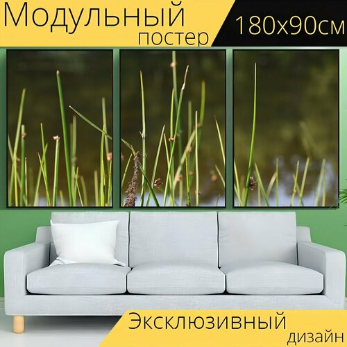 Модульный постер "Трава, вода, природа" 180 x 90 см. для интерьера