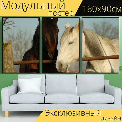 Модульный постер "Лошадь, лошади, школа верховой езды" 180 x 90 см. для интерьера