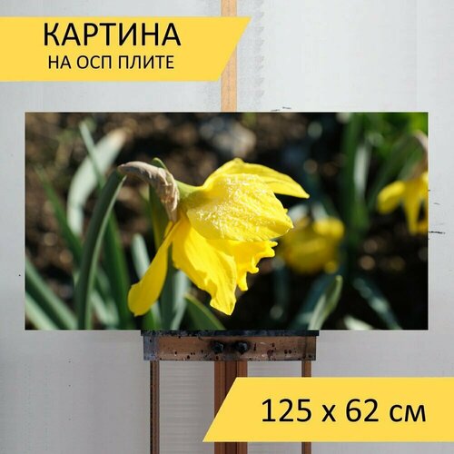 Картина на ОСП 125х62 см. "Нарциссы, цветок, желтый" горизонтальная, для интерьера, с креплениями