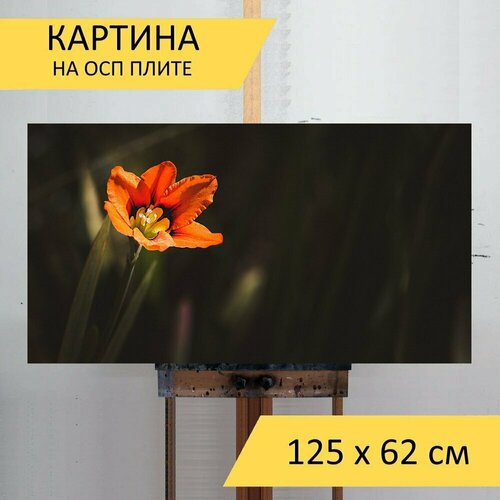 Картина на ОСП 125х62 см. "Цветок, апельсин, оранжевый цветок" горизонтальная, для интерьера, с креплениями