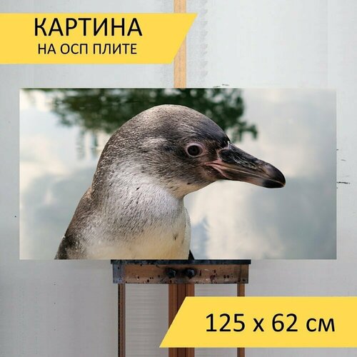 Картина на ОСП 125х62 см. "Пингвин, птица, животное" горизонтальная, для интерьера, с креплениями