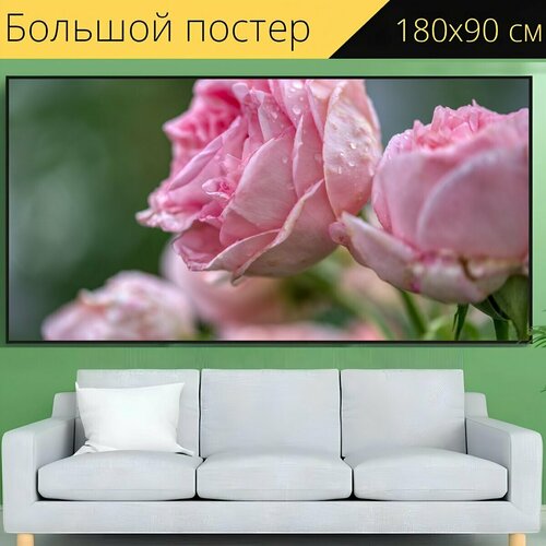 Большой постер "Розы, цвести, розовый куст" 180 x 90 см. для интерьера