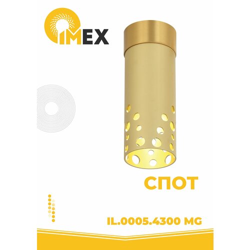 Светильник потолочный спот IMEX, IL.0005.4300 MG, матовое золото