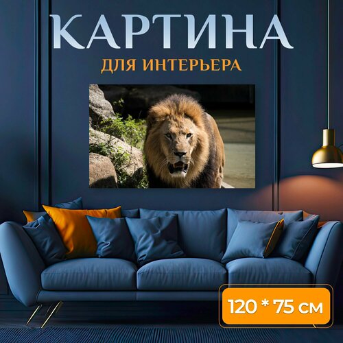 Картина на холсте "Лев, хищник, мужской" на подрамнике 120х75 см. для интерьера