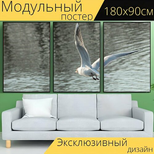 Модульный постер "Чайка, рейс, птица" 180 x 90 см. для интерьера