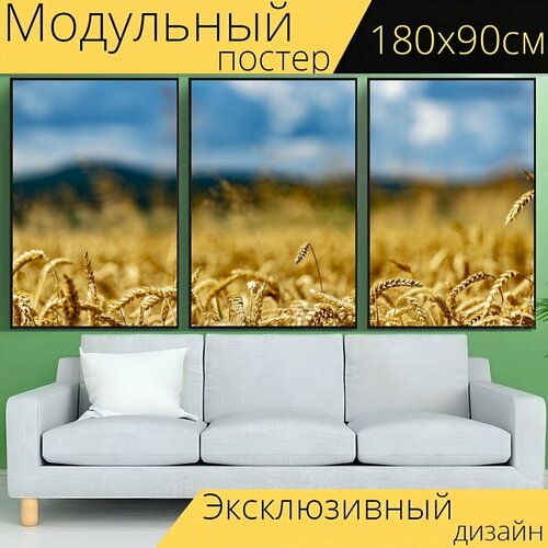 Модульный постер "Пшеница, пшеничное поле, поля" 180 x 90 см. для интерьера