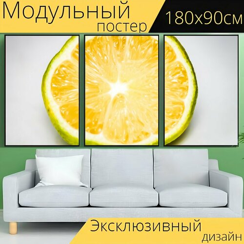 Модульный постер "Лимон, цитрон, линза" 180 x 90 см. для интерьера