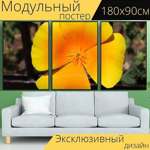 Модульный постер "Цветок, желтый, сад" 180 x 90 см. для интерьера