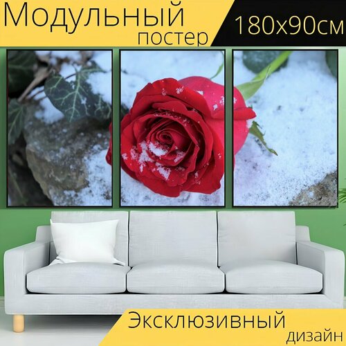 Модульный постер "Красная роза на камне, символ любви, снег" 180 x 90 см. для интерьера