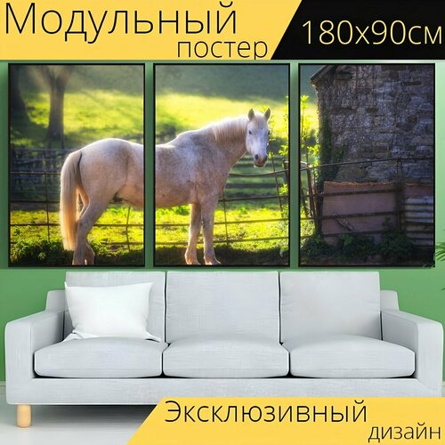 Модульный постер "Лошадь, солнечный свет, теплый" 180 x 90 см. для интерьера
