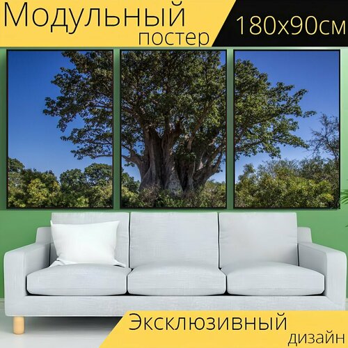 Модульный постер "Баобаб, дерево, природа" 180 x 90 см. для интерьера