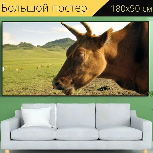 Большой постер "Корова, животное, домашний скот" 180 x 90 см. для интерьера