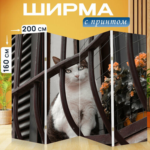 Ширма перегородка с принтом "Кошка, домашний питомец, окно" на холсте - 200x160 см. для зонирования, раскладная